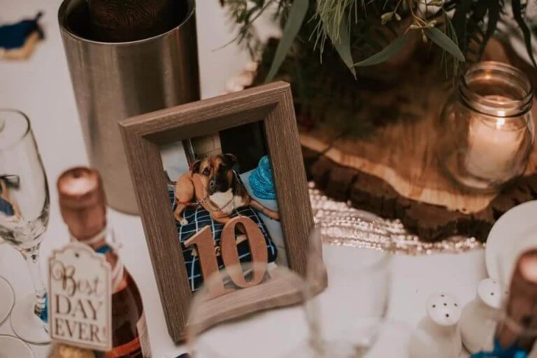 » Six Fun Ways to Incorporate Your Pup into Your Wedding Day